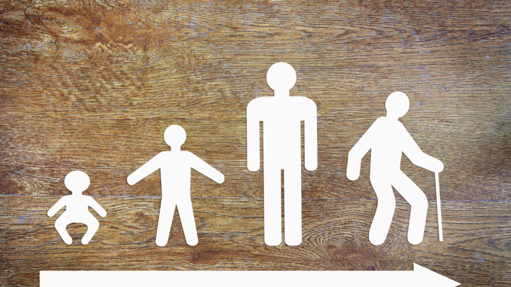 Term life insurance for different life stages: Why it's important to ...